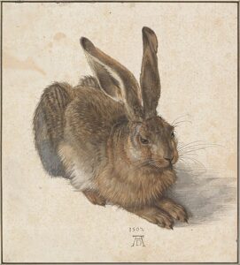 Albrecht Dürer - Germany’s Master of Art and Innovation